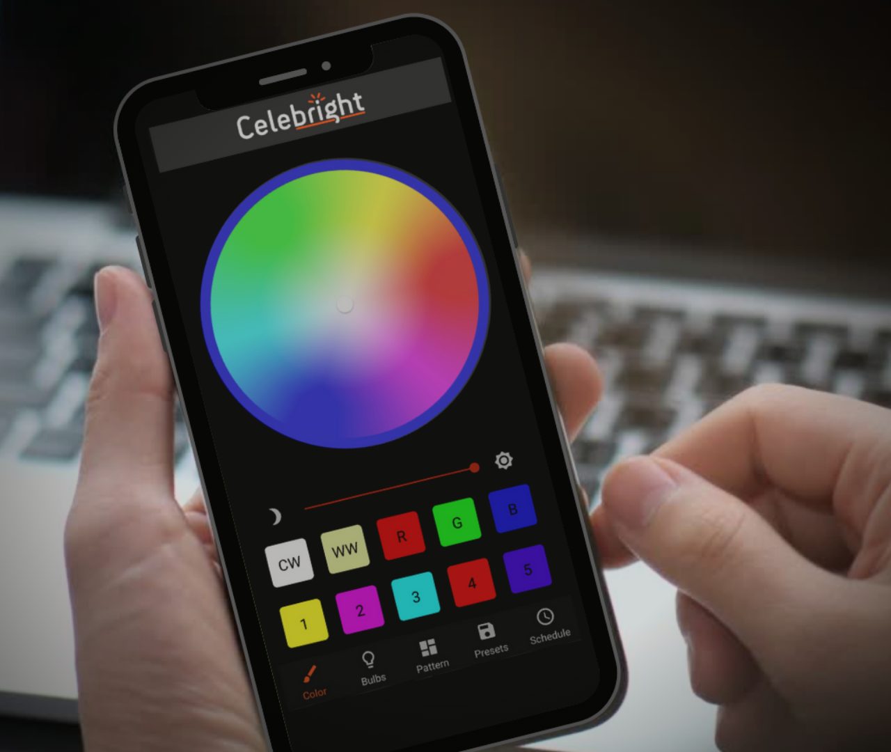 Celebright Permanent Holiday Lighting | Rentco Equipment Ltd.